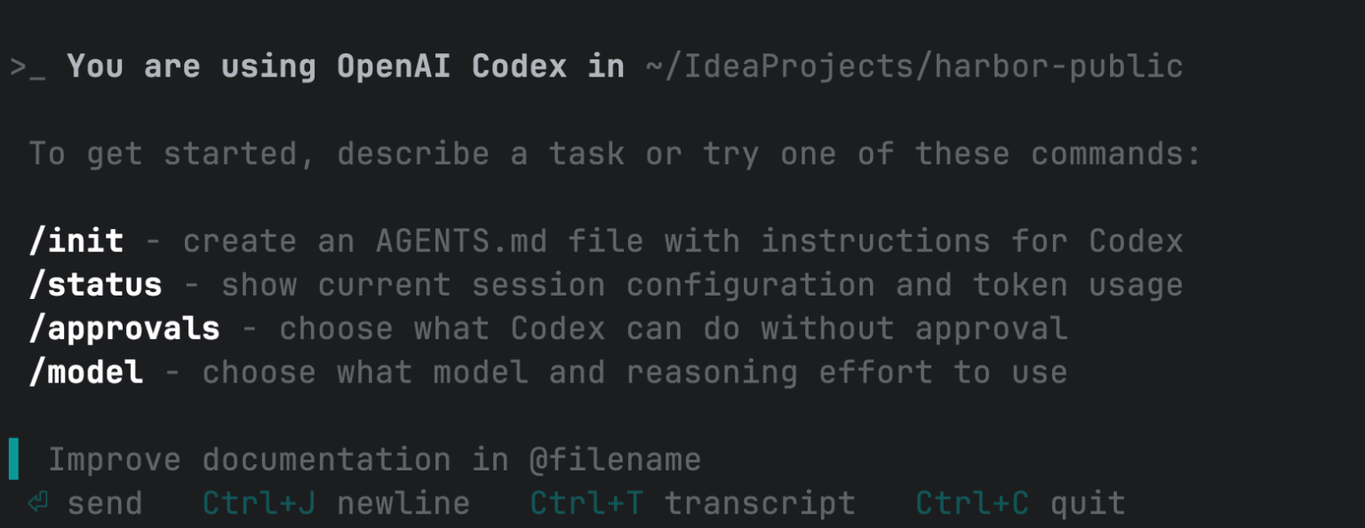 Codex CLI ― ターミナルに最強のエンジニアを迎える方法 - メシのタネ